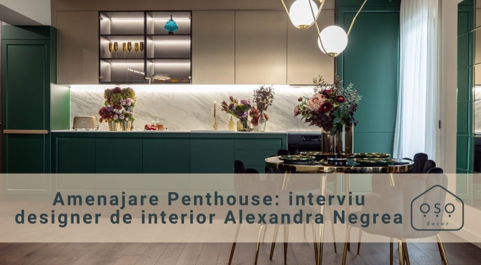 Amenajare Penthouse: interviu designer de interior Alexandra Negrea ...